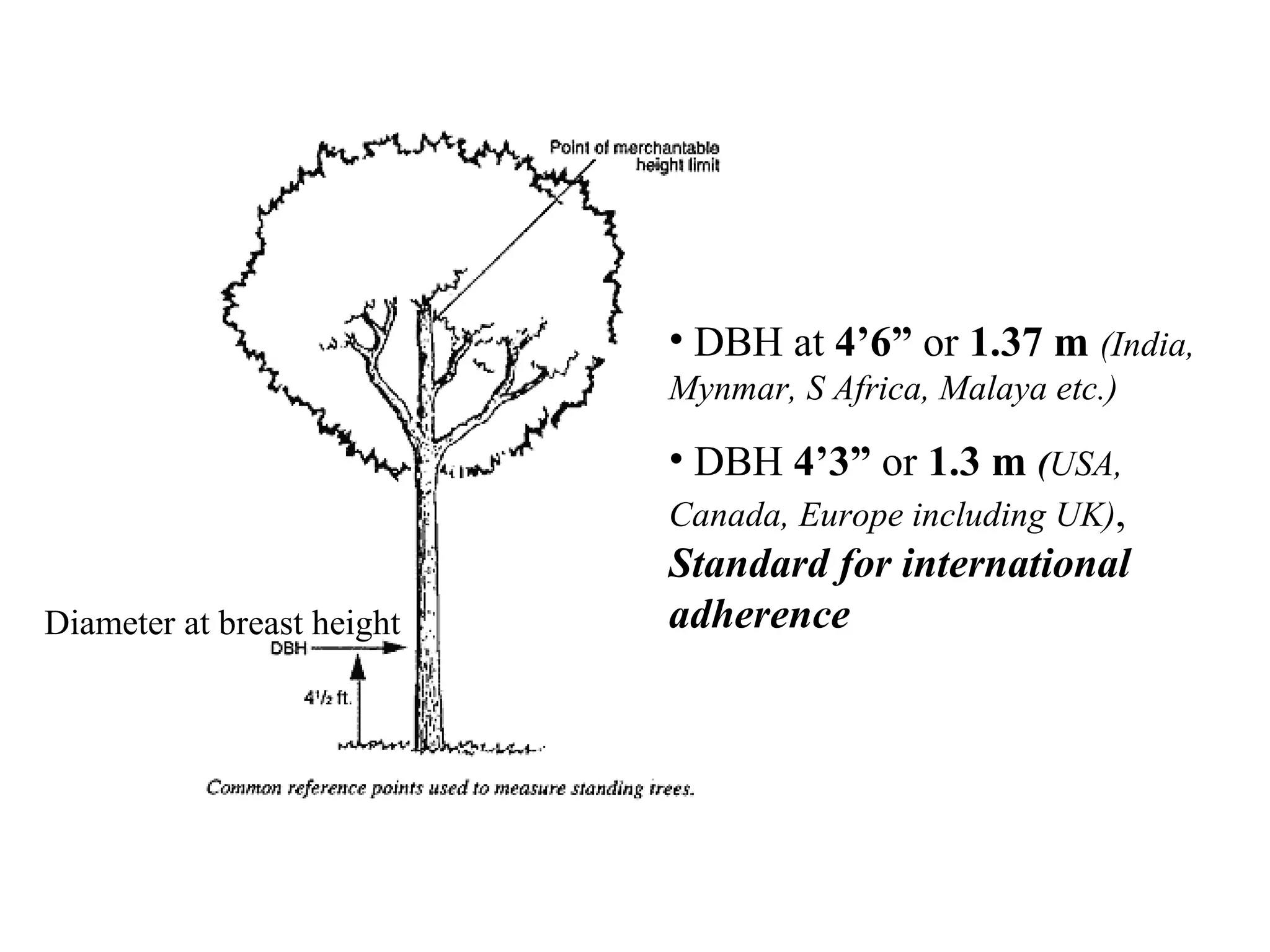 Forest mensuration slide 1 | PDF