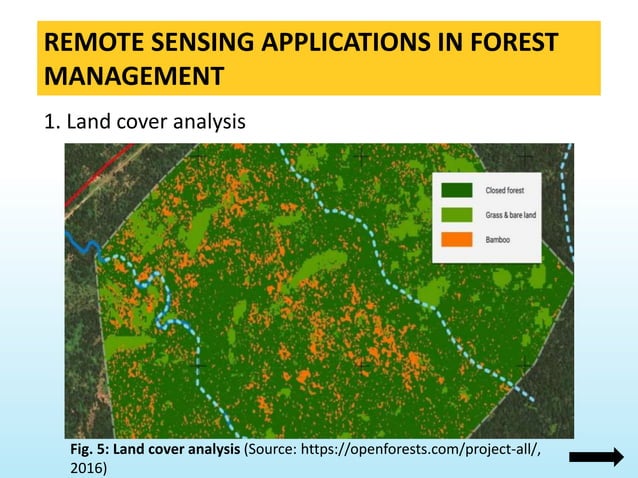 Forest Monitoring Through Remote Sensing Pptx Geography Science