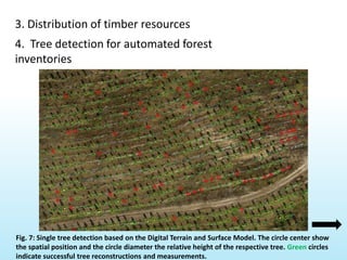 Forest monitoring through remote sensing | PPTX