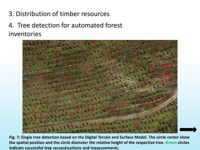 Forest Monitoring Through Remote Sensing Pptx Geography Science