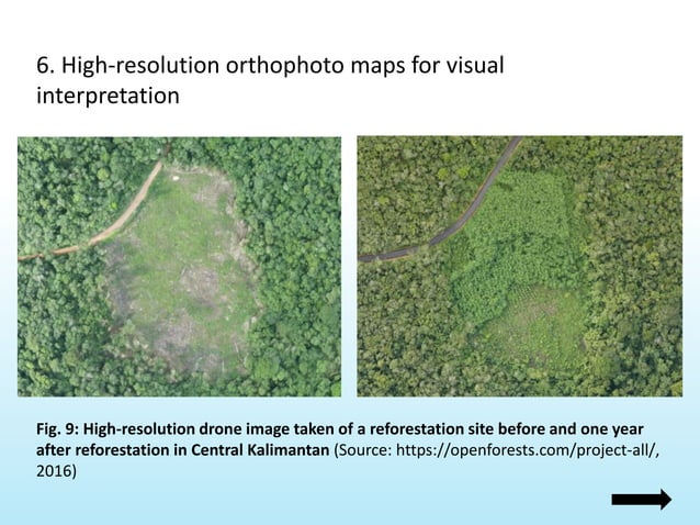 Forest monitoring through remote sensing | PPTX | Geography | Science