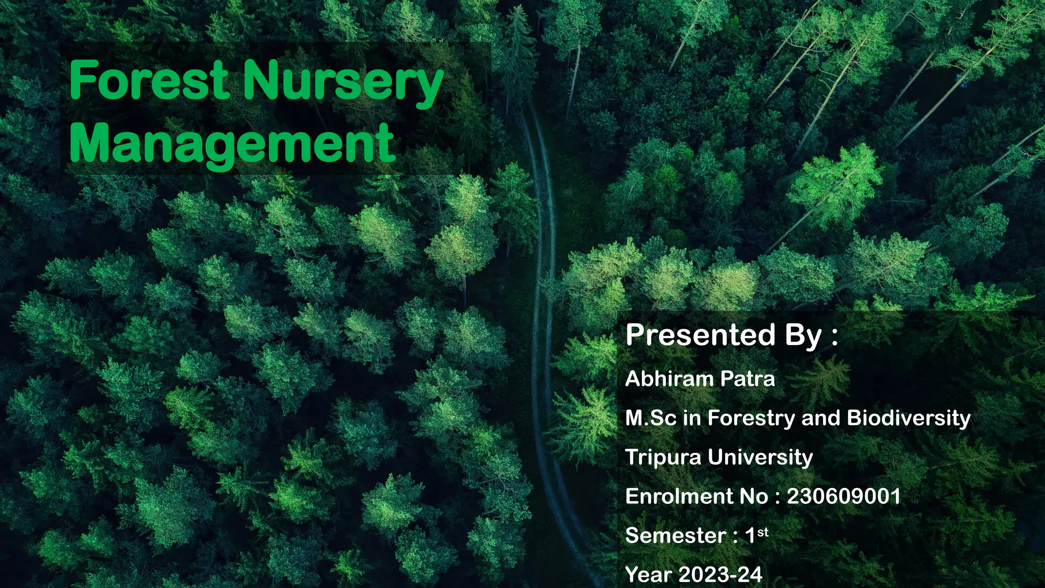 Overview of Forest Nursery Management And its Aspects | PPTX