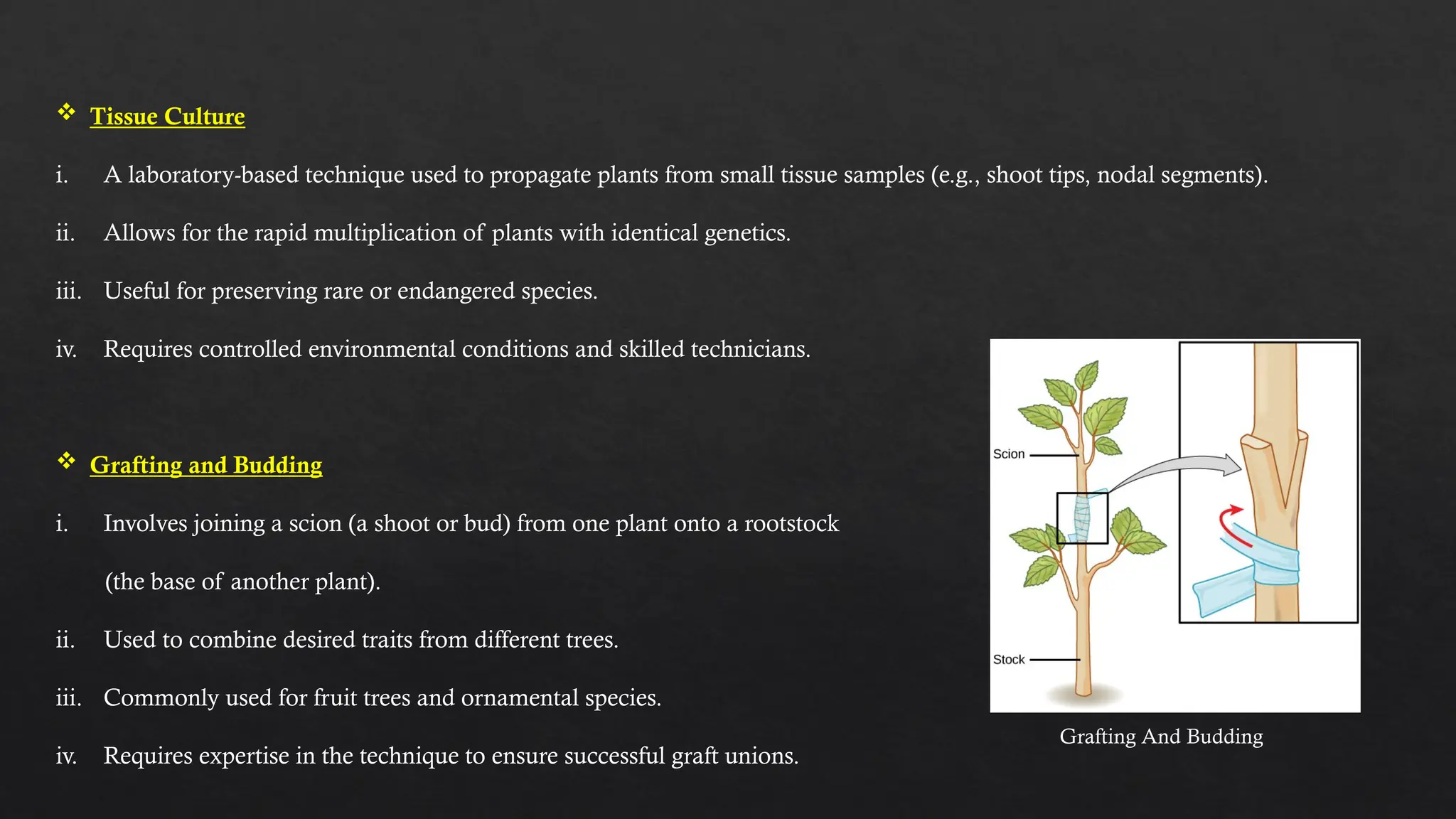 Overview of Forest Nursery Management And its Aspects | PPTX