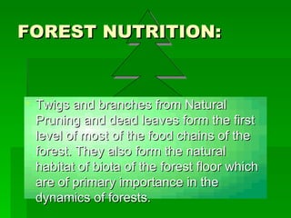 Forest Nutrition | PPT | Gardening | Home & Garden