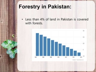 Forest of Pakistan. | PPTX