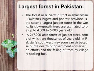 Forest of Pakistan. | PPTX