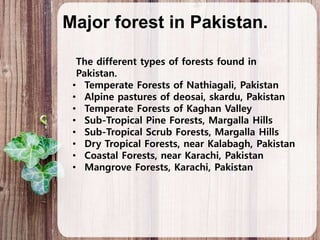 Forest of Pakistan. | PPTX