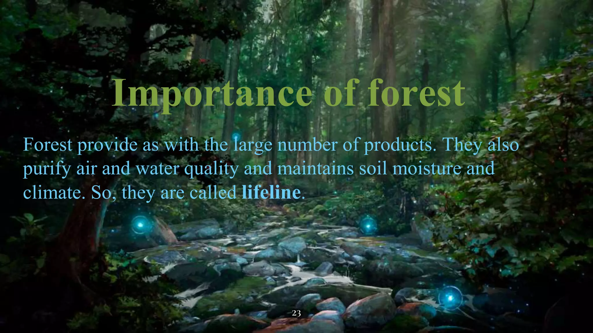 Forest : Our Lifeline | PPTX