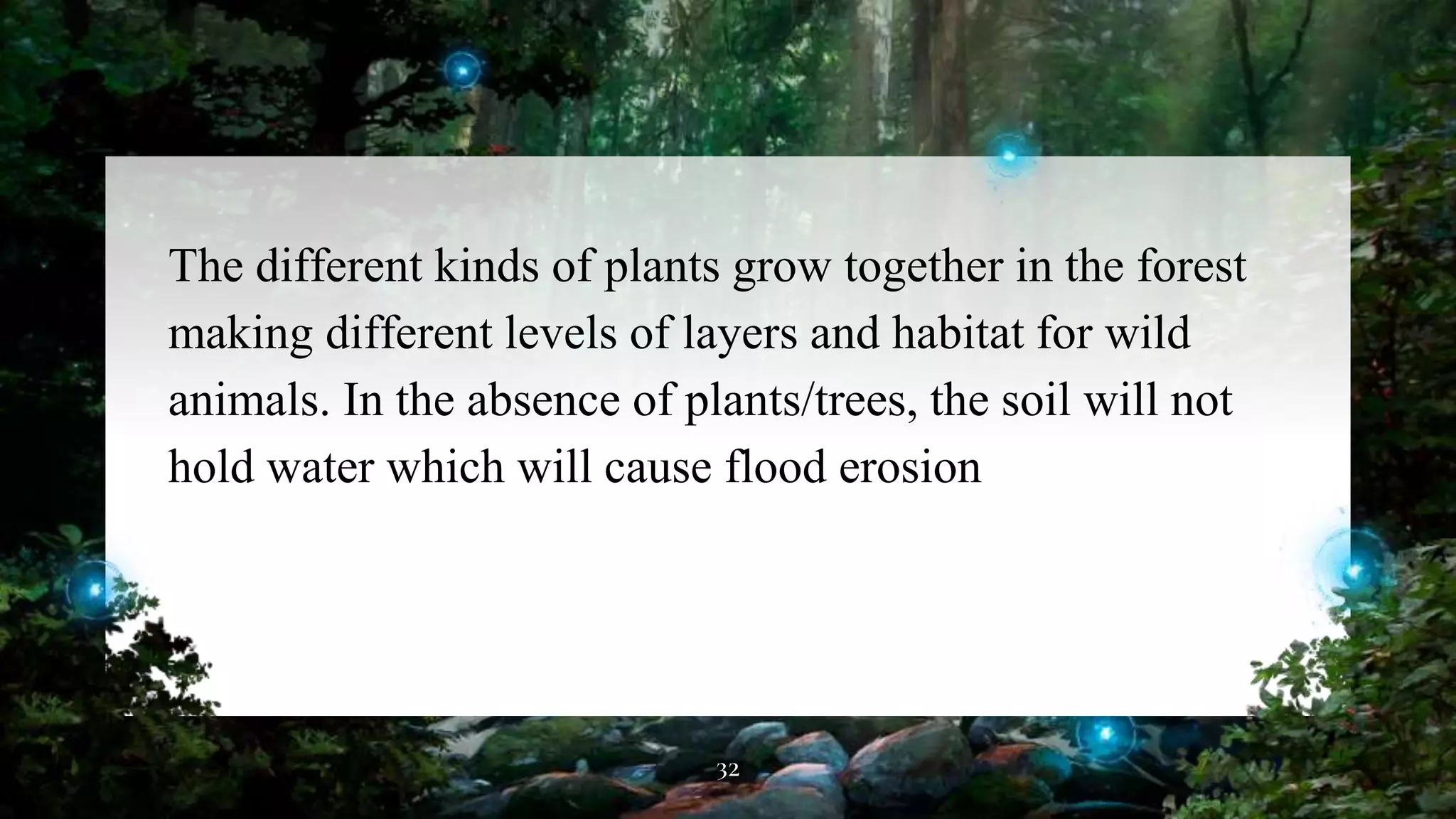 Forest : Our Lifeline | PPTX