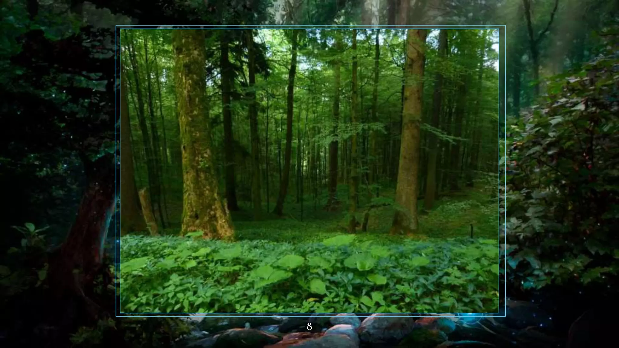 Forest : Our Lifeline | PPTX