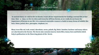 Forest : Our Lifeline | PPTX