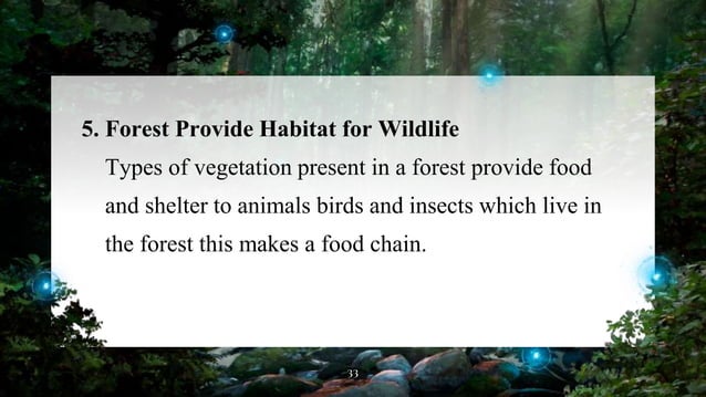 Forest : Our Lifeline | PPTX | Biological Sciences | Science