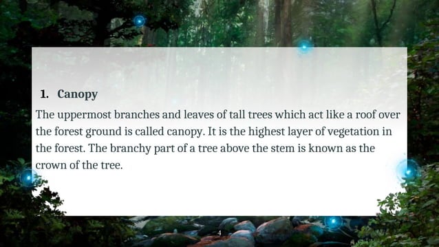 Forest : Our Lifeline | PPTX | Biological Sciences | Science
