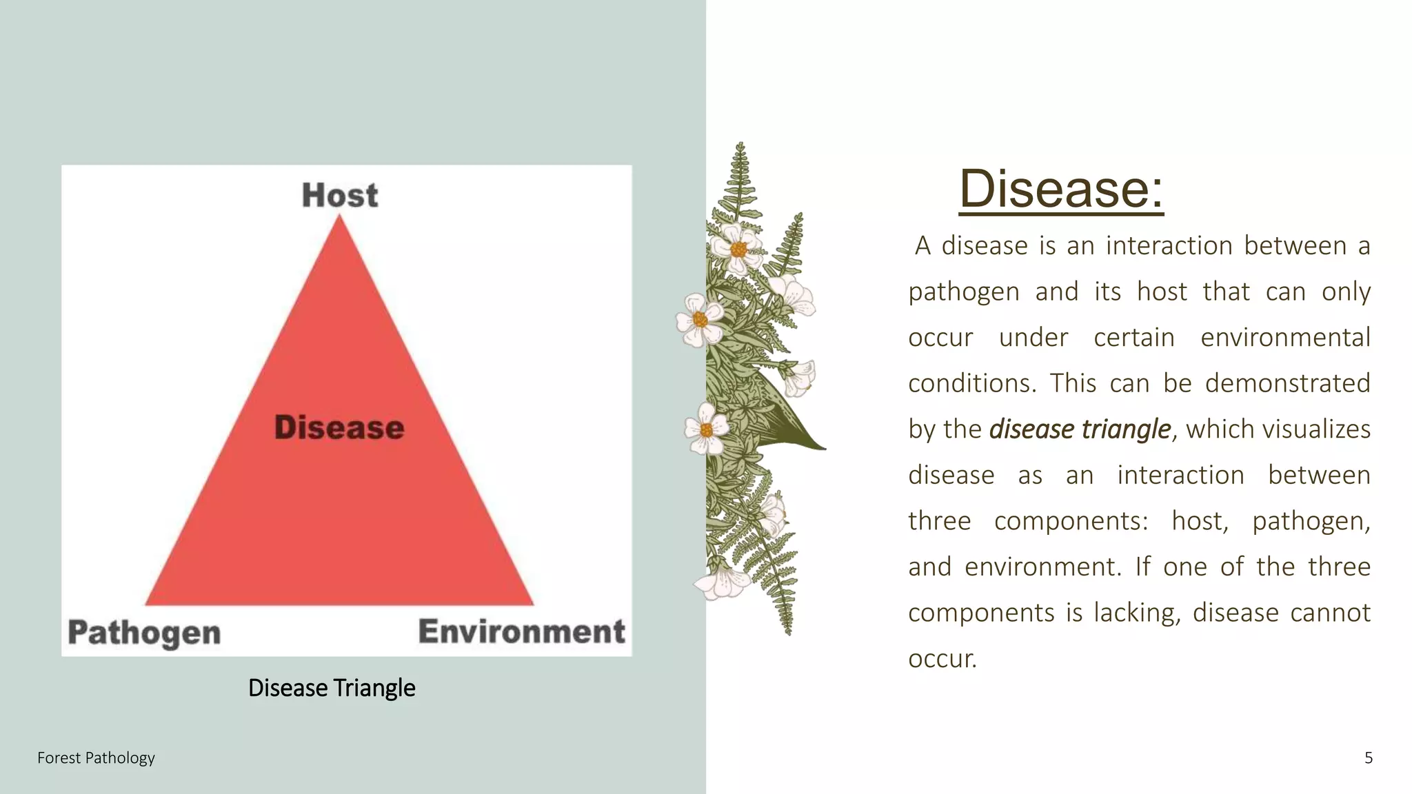 Forest pathology | PPTX