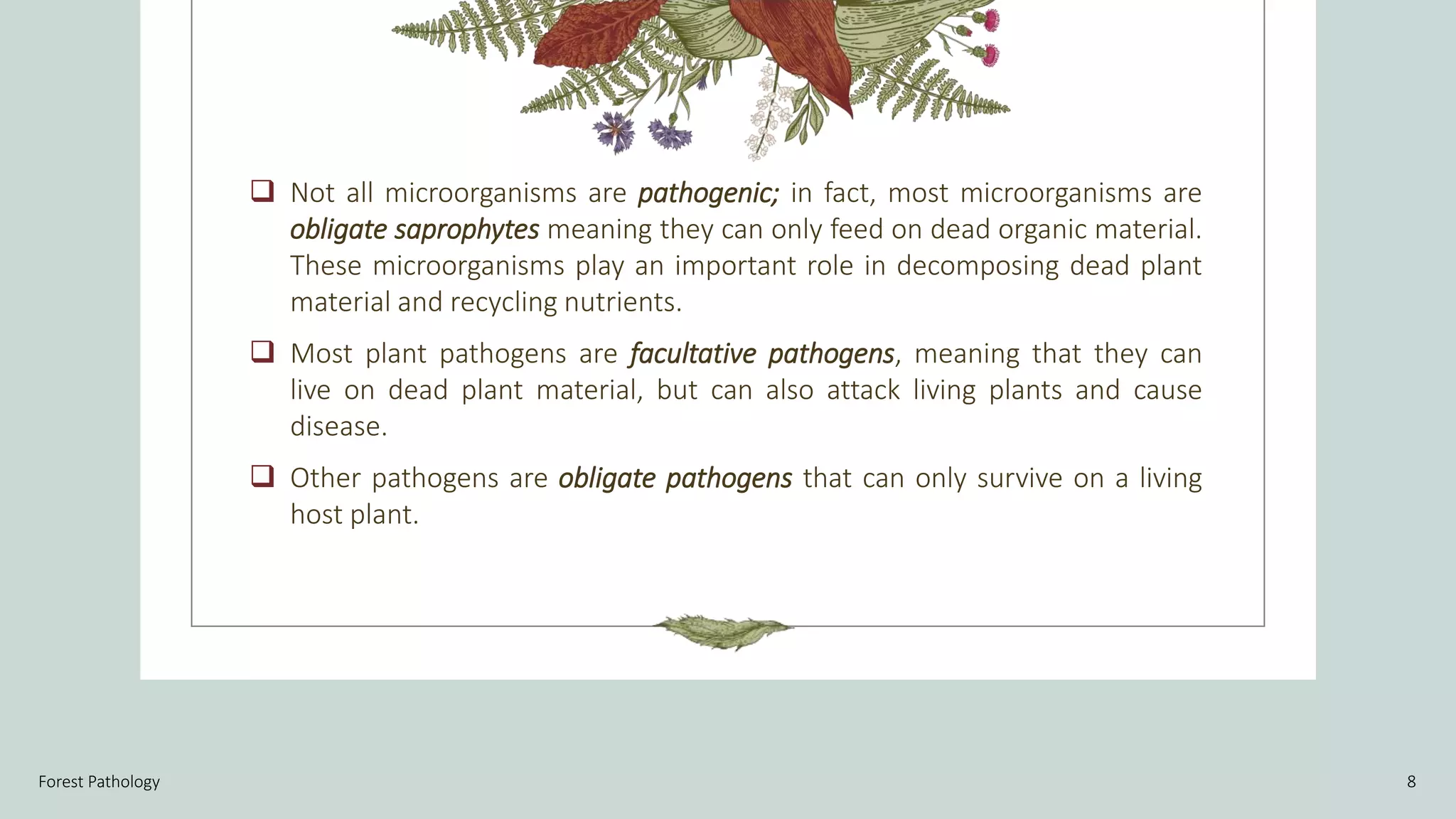 Forest Pathology Pptx