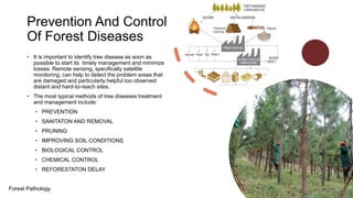 Forest pathology | PPTX