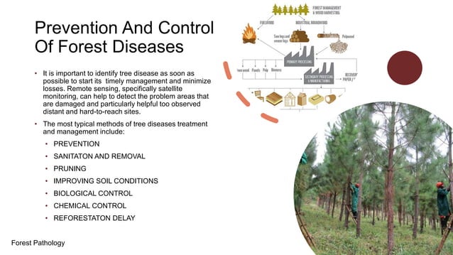 Forest pathology | PPTX