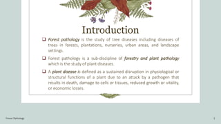 Forest Pathology Pptx