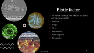 Forest pathology | PPTX