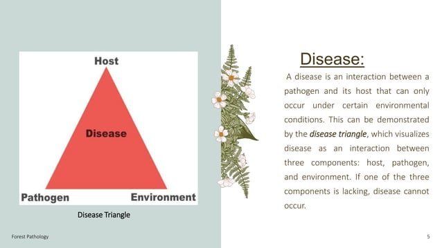 Forest Pathology Pptx