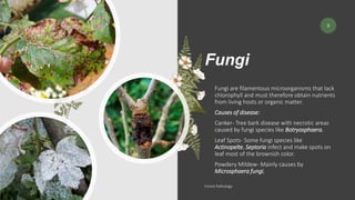 Forest pathology | PPTX