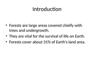 Forest_Presentation11111111111111111.pptx