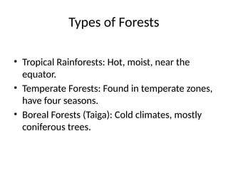 Forest_Presentation11111111111111111.pptx