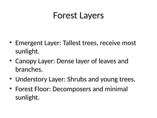 Forest_Presentation11111111111111111.pptx