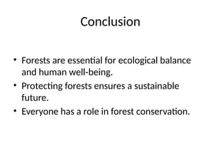 Forest_Presentation11111111111111111.pptx