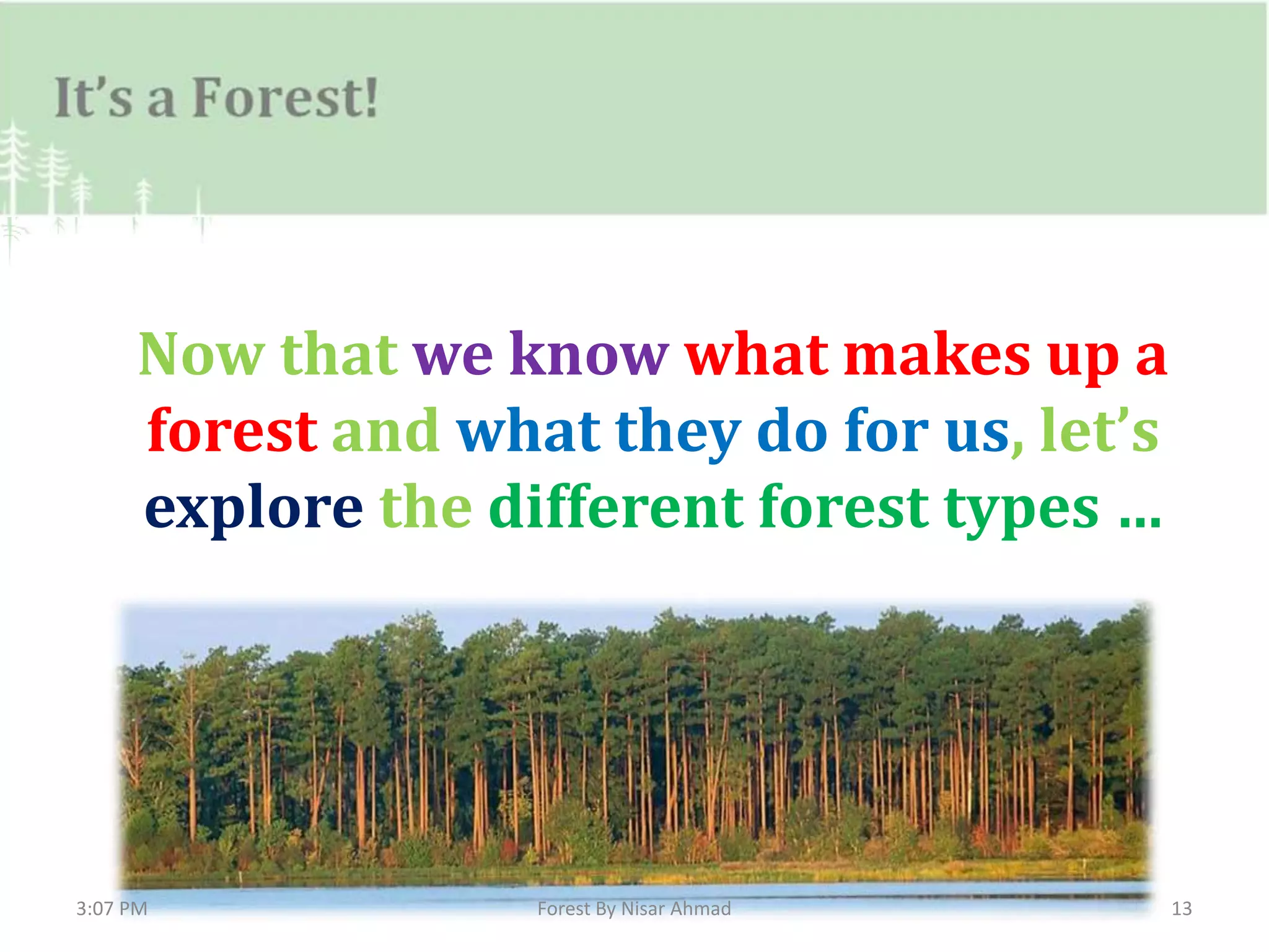 Forest presentation | PPTX | Agriculture | Industries