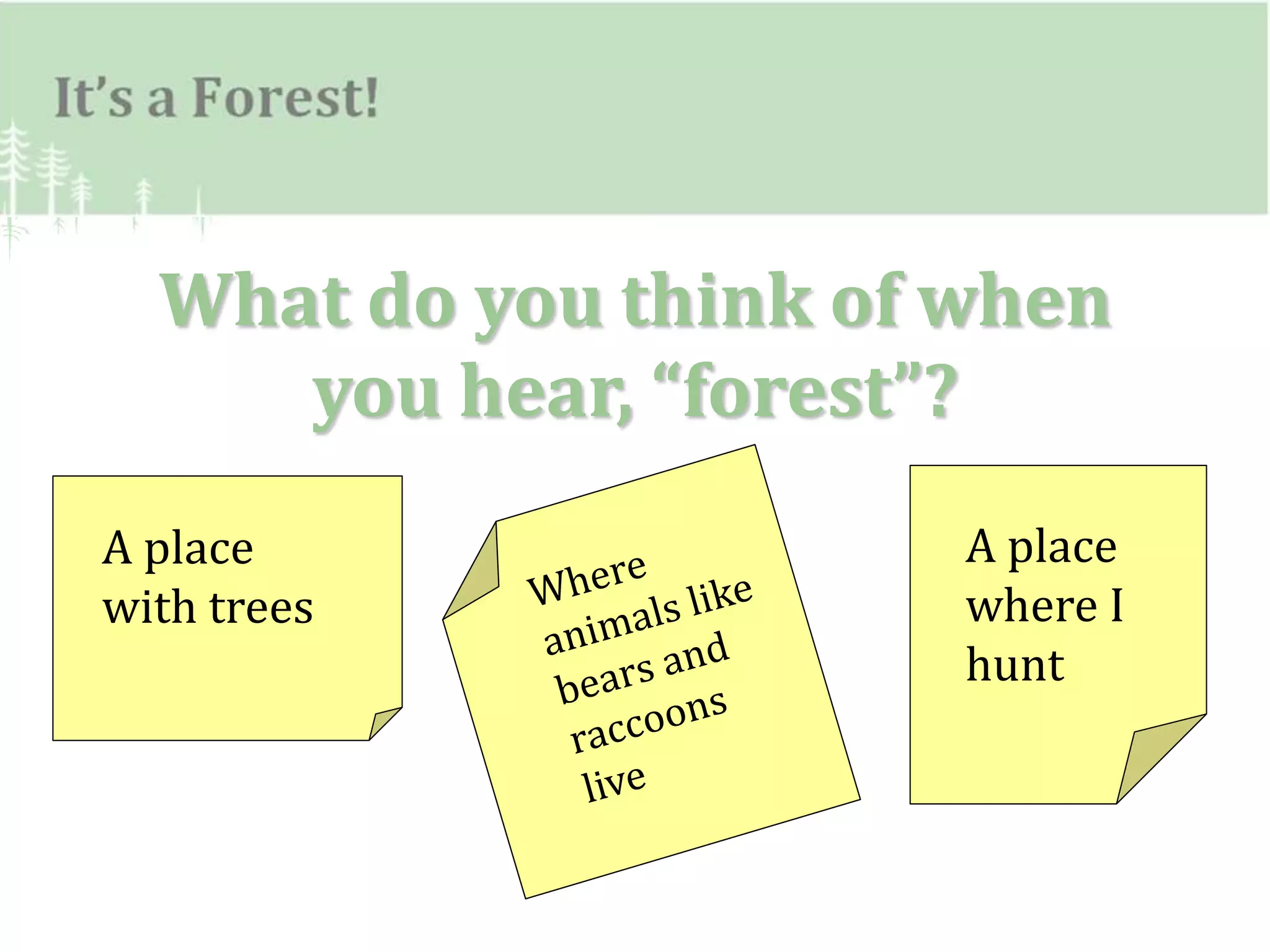 Forest presentation | PPTX