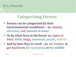 Forest presentation | PPTX