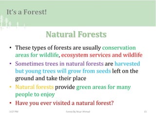 Forest presentation | PPTX