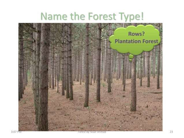 Forest presentation | PPTX | Agriculture | Industries