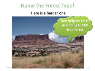 Forest presentation | PPTX