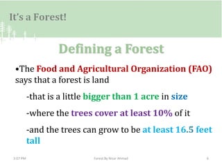 Forest presentation | PPTX