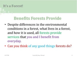 Forest presentation | PPTX