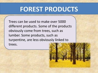 Forest products | PPTX