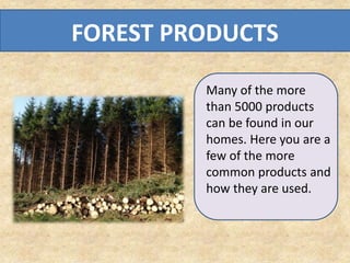 Forest products | PPTX