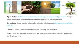 Forest regeneration.pptx