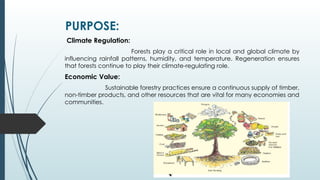 Forest Regeneration by various methods and phases.pptx