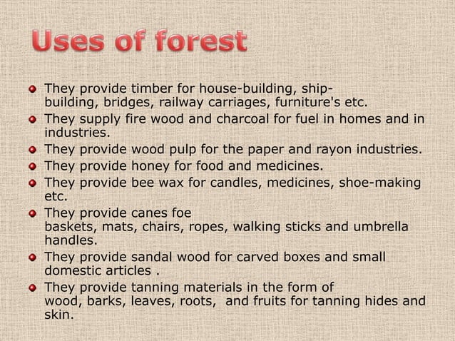 Forest resource | PPTX