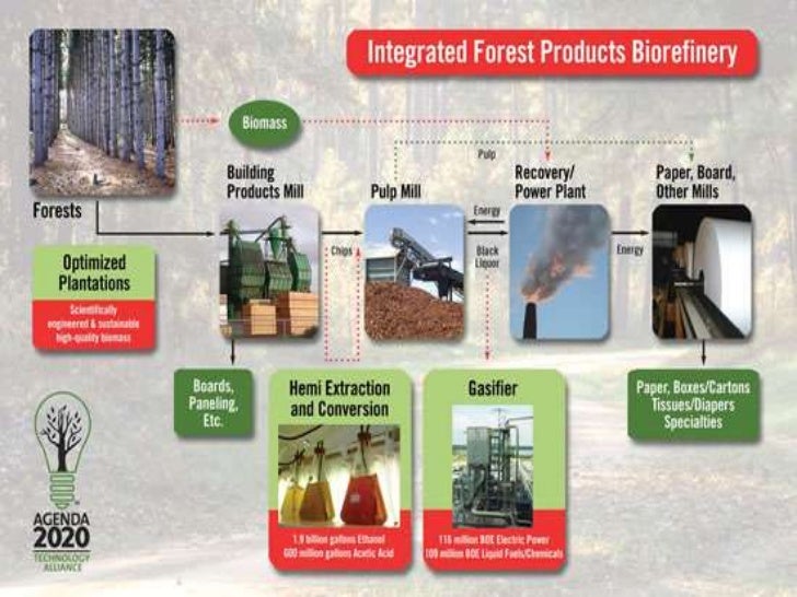 Forest resource
