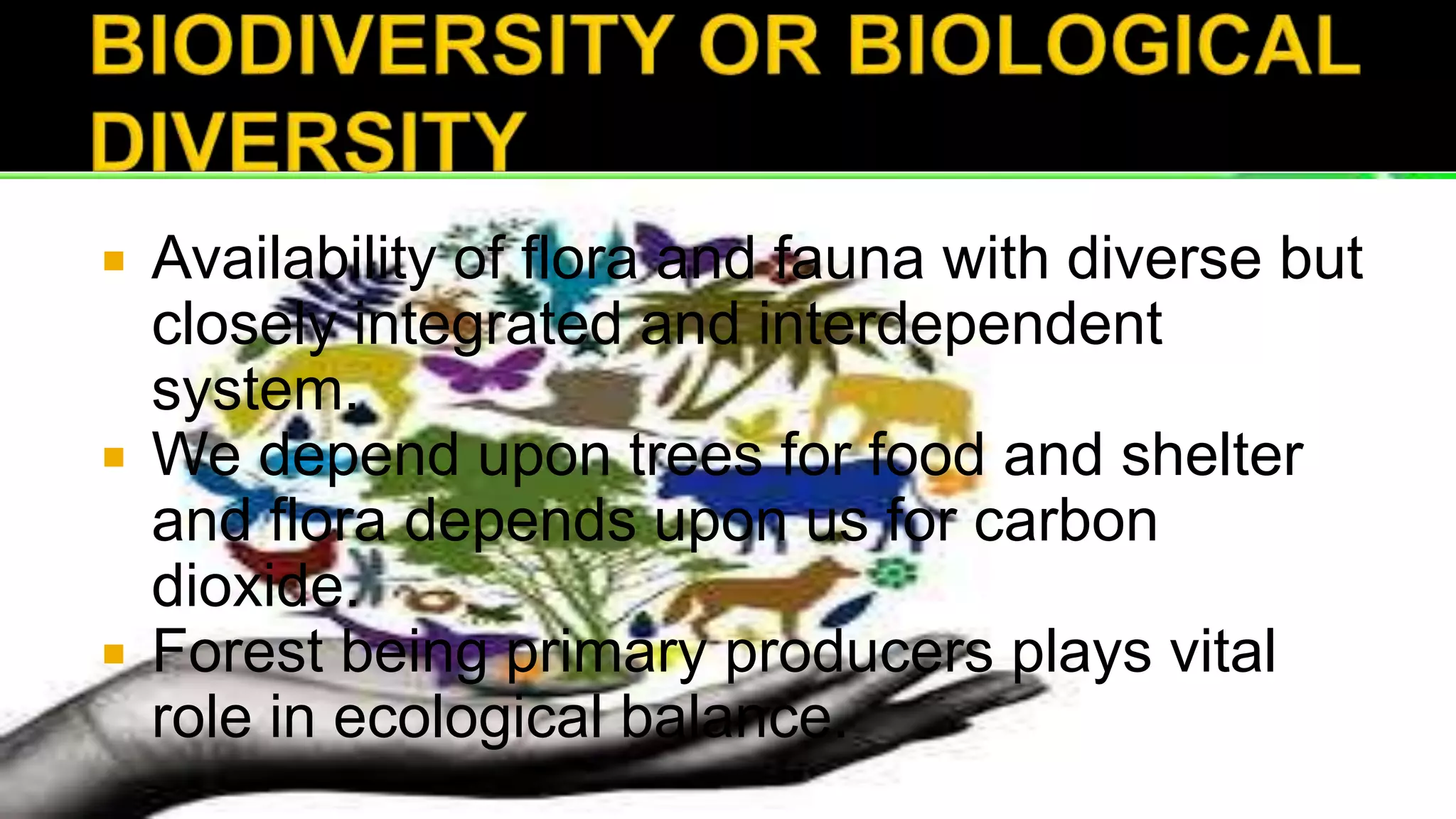 Forest Resource Ppt Pptx