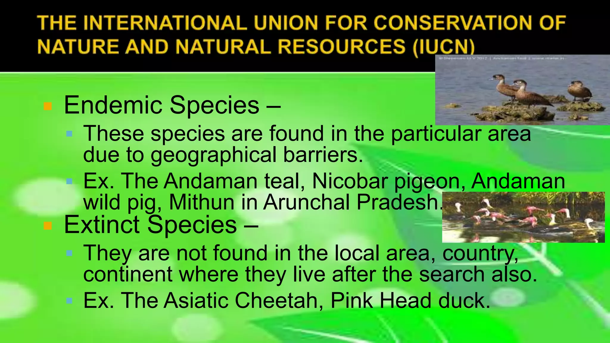 Forest Resource Ppt Pptx