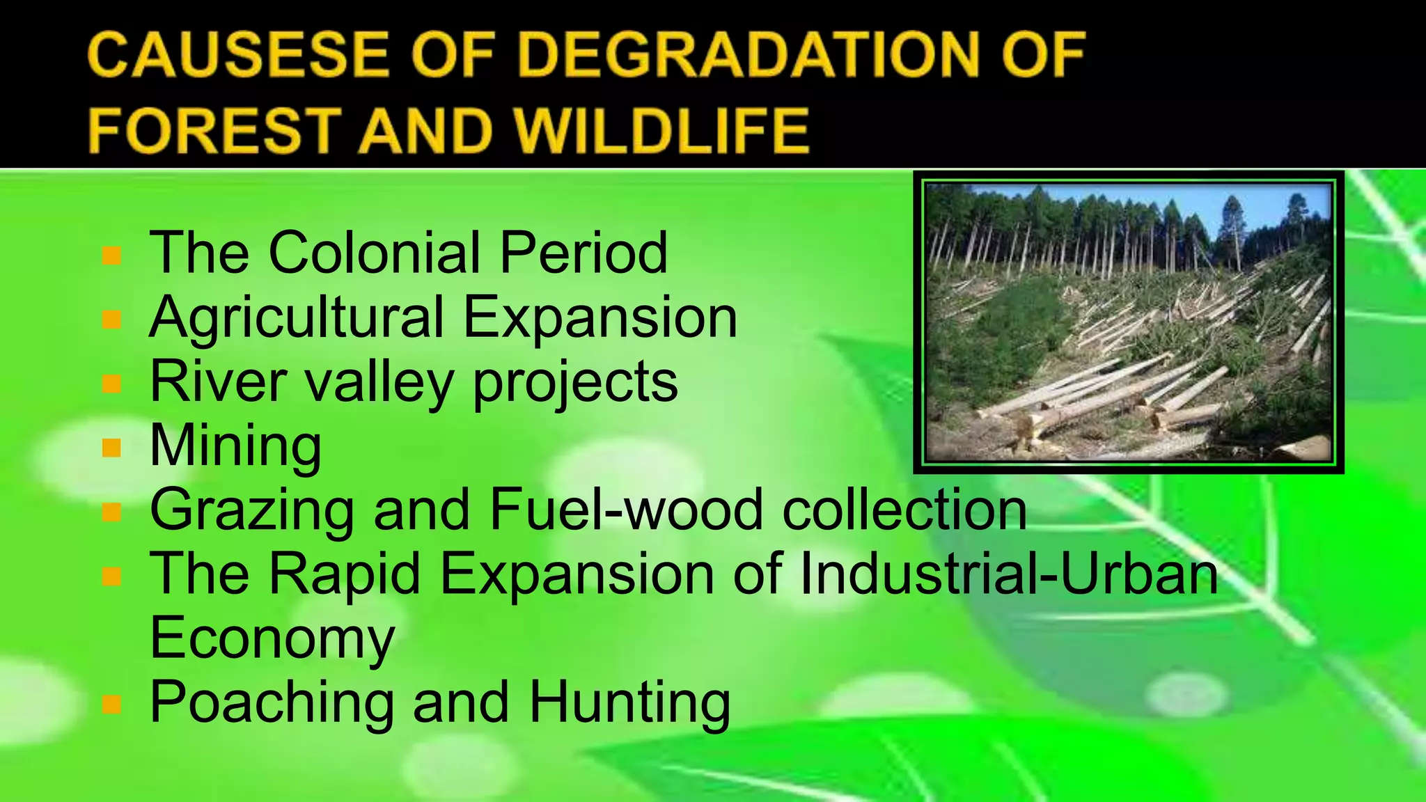 Forest resource ppt | PPTX