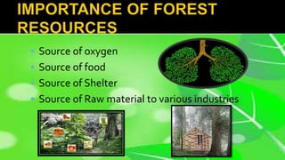 Forest resource ppt | PPTX