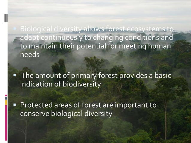 Forest Resources | PPT