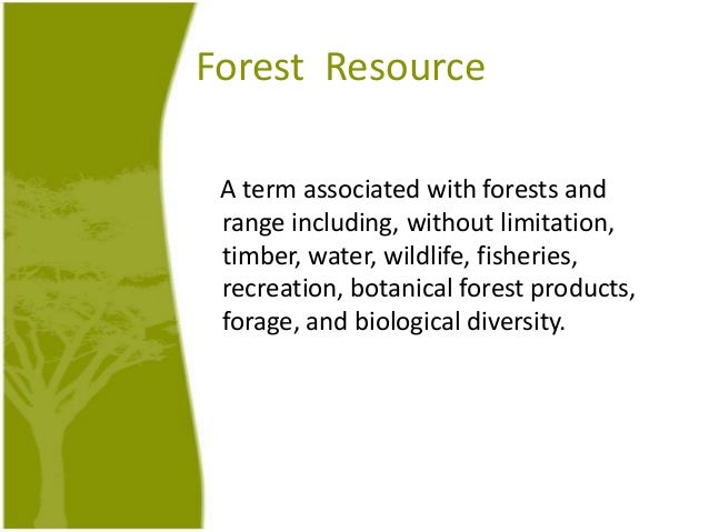 Forest resources