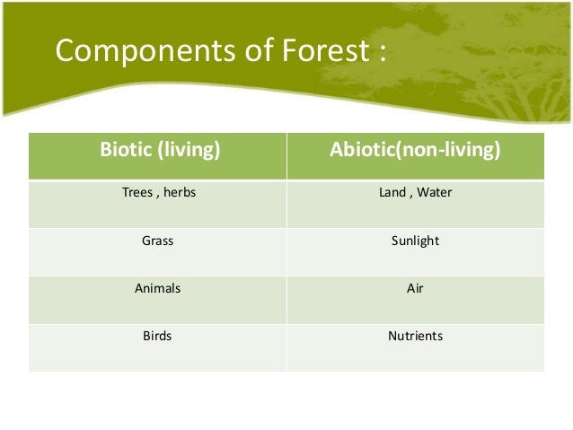 Forest resources
